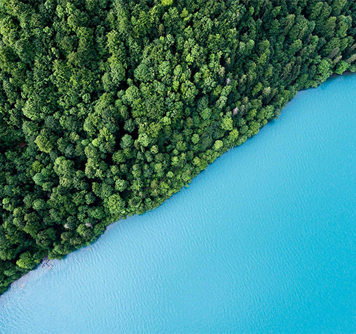 Responsible Chemicals Management | Marks & Spencer